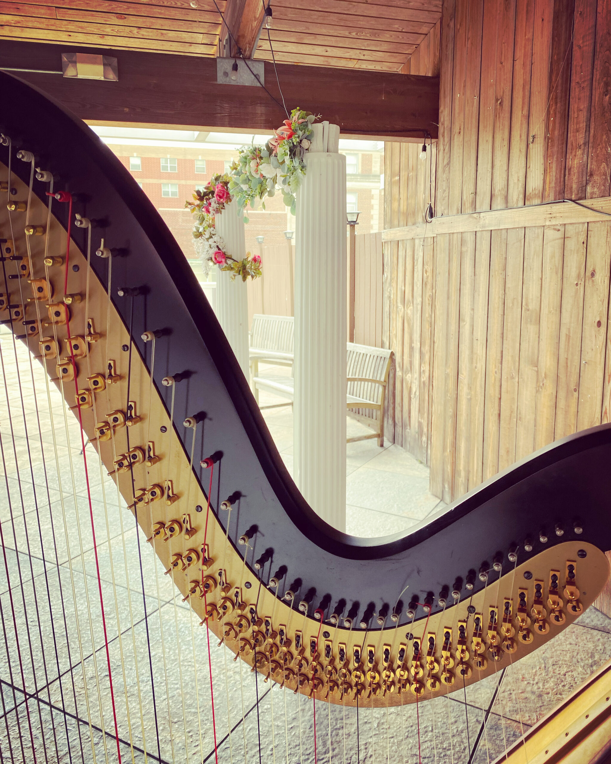 Chicago Harpist: Elegant Music for Weddings - The Classic Harpist