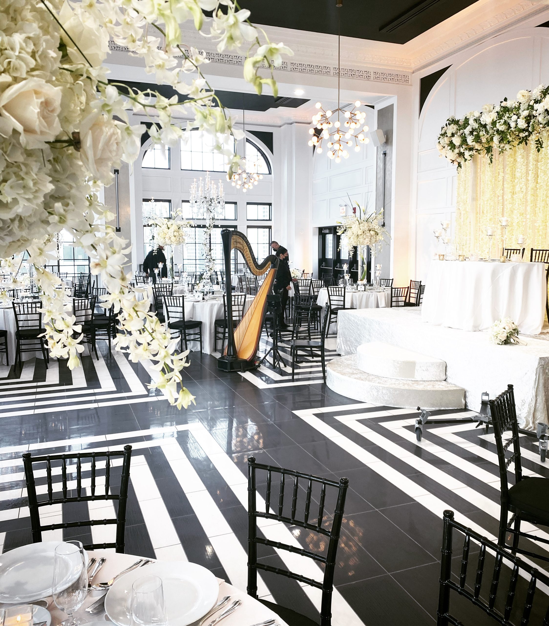 Harpist in Jefferson, Iowa: Book Your Music Now - The Classic Harpist