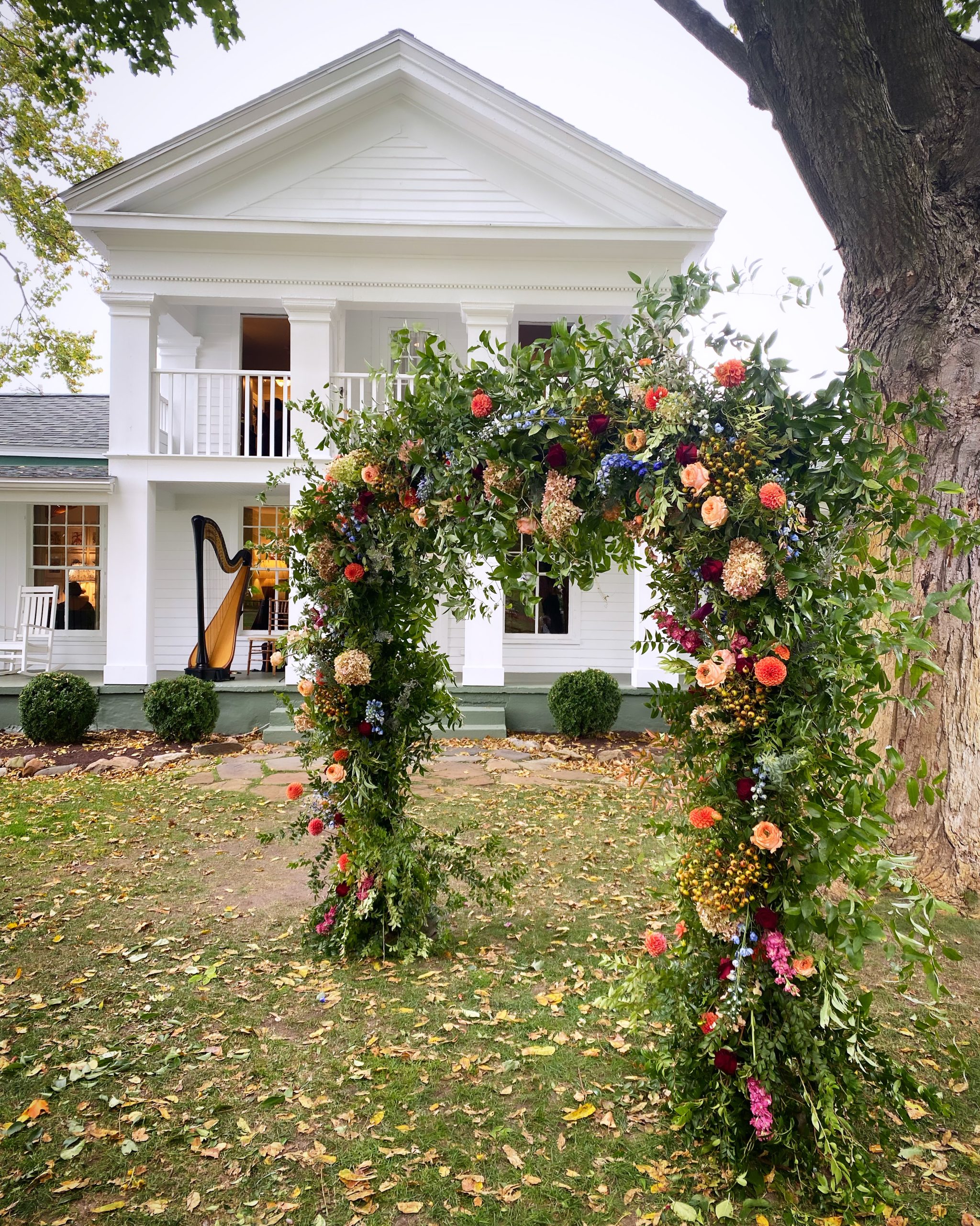 Harpist in Logan, Iowa - The Classic Harpist