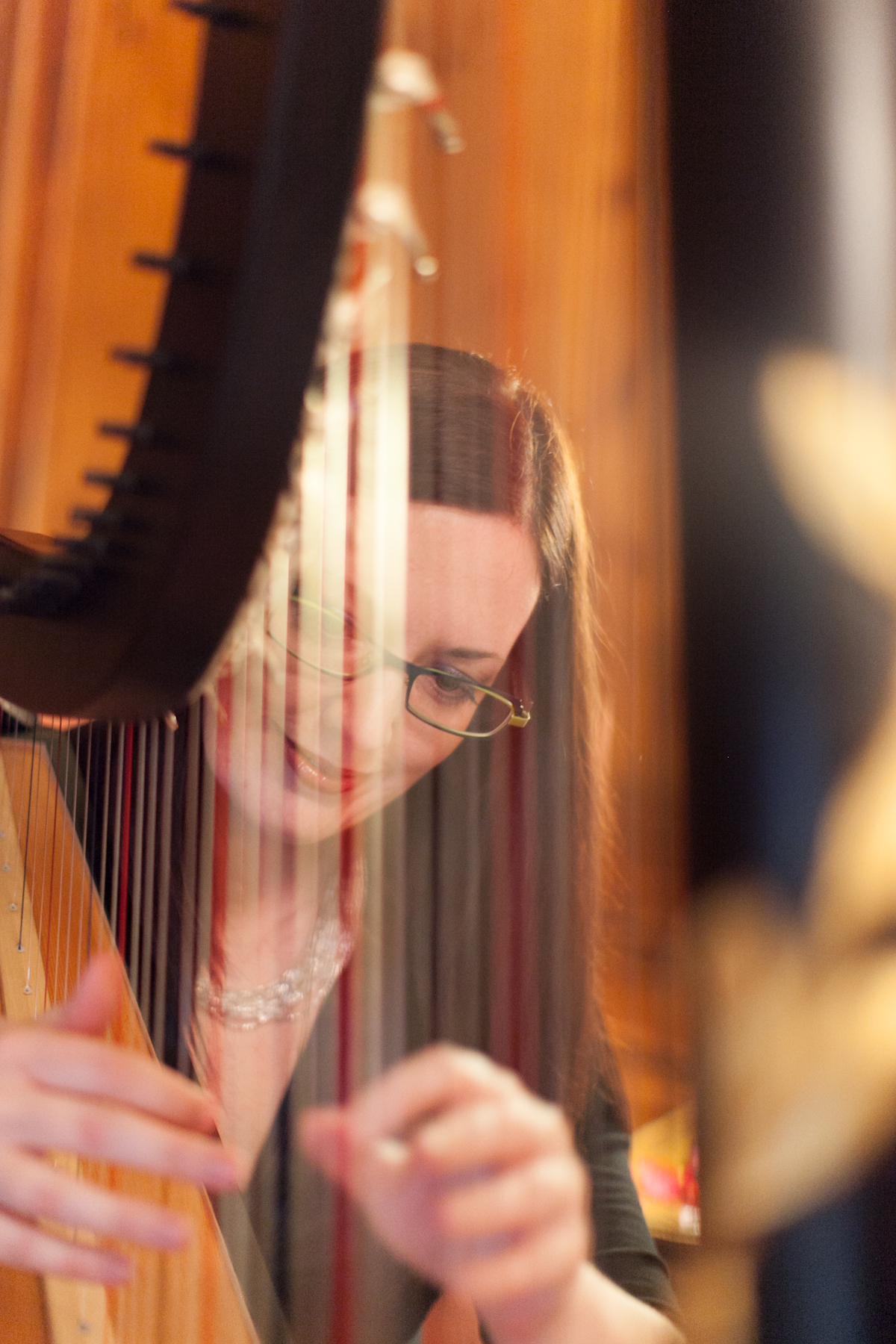 Harpist in Fairfield, Iowa - The Classic Harpist