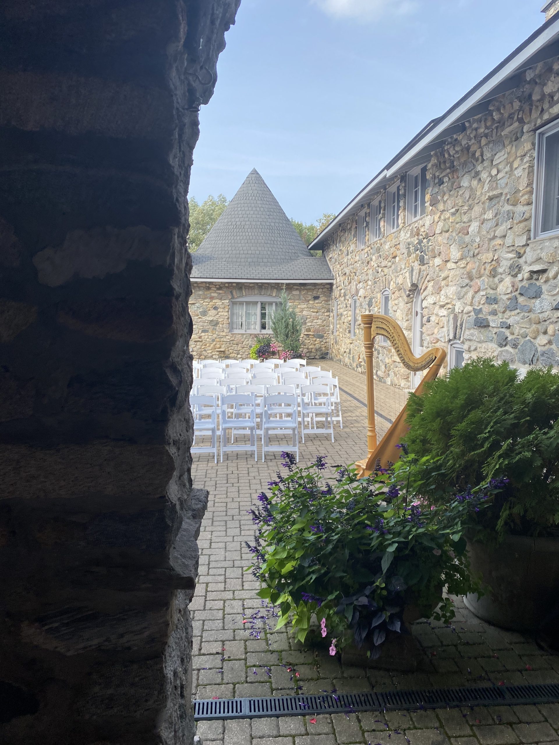 Harpist in Sikeston, Missouri - The Classic Harpist