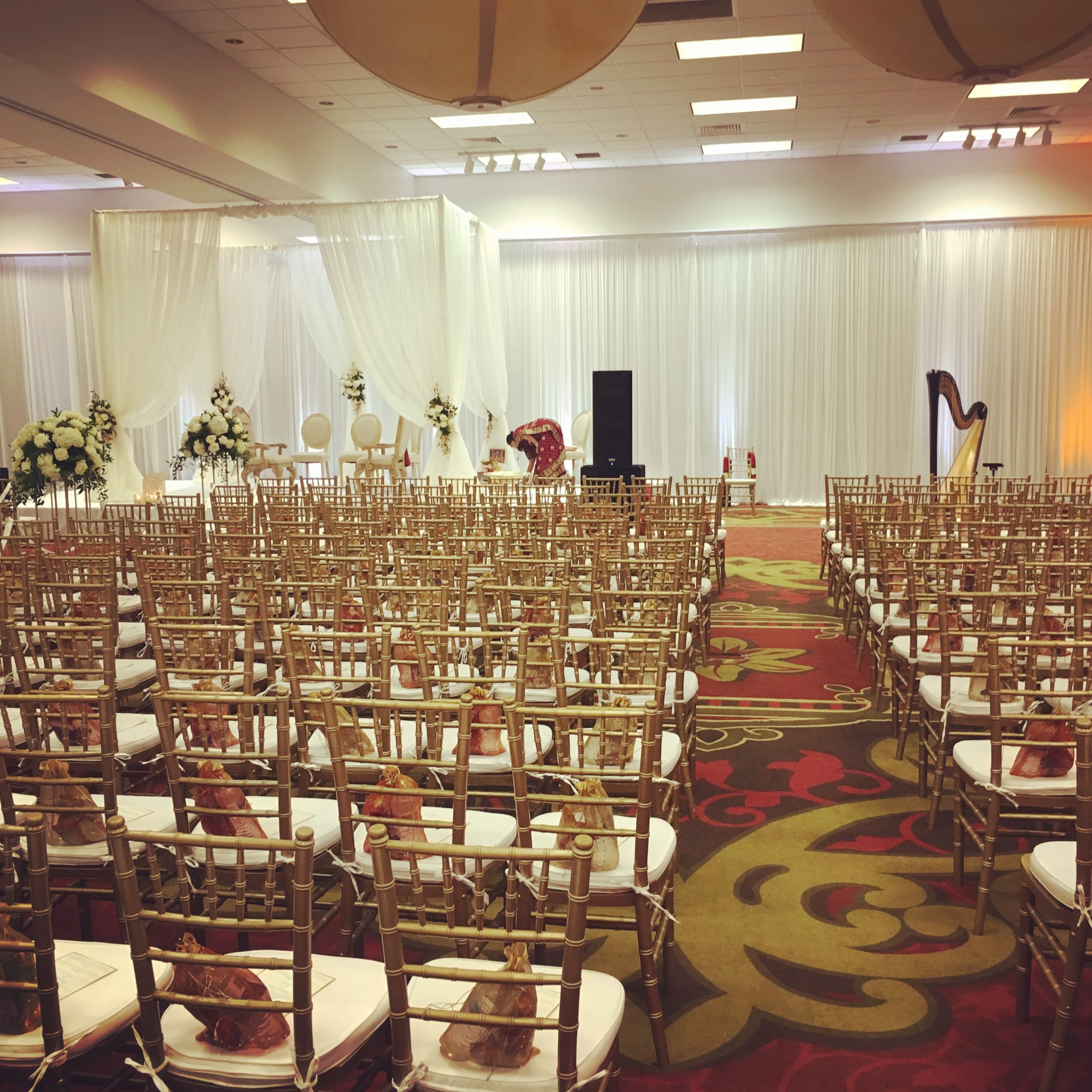 Harpist in Albia, Iowa - The Classic Harpist