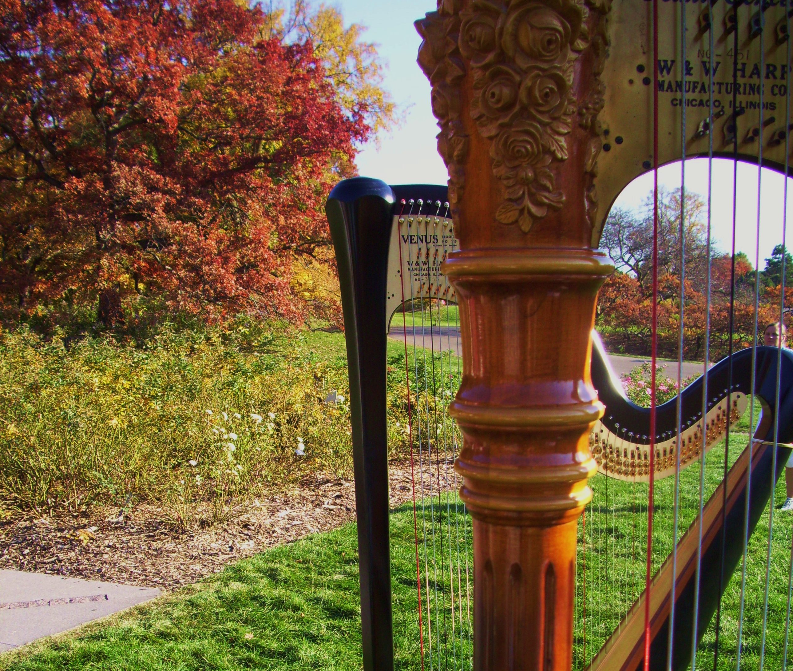 Minnesota Landscape Arboretum - The Classic Harpist
