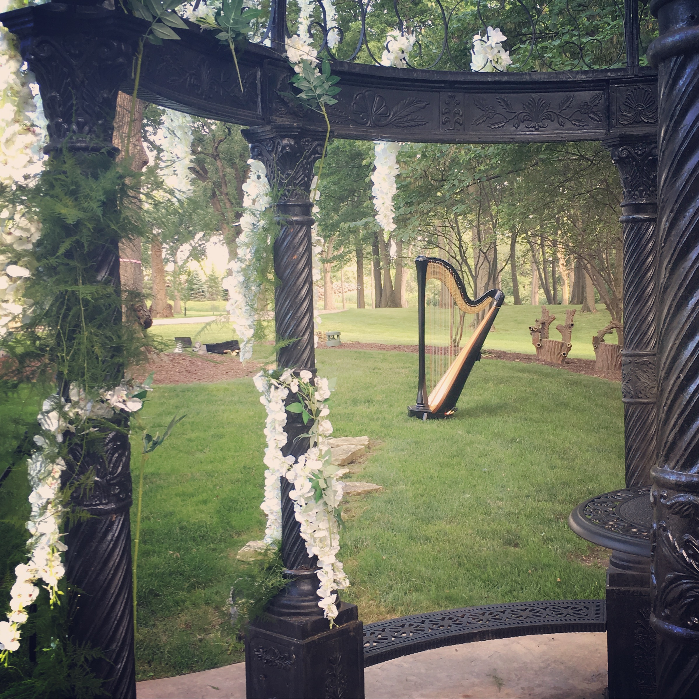 Harpist in New Hampton, Iowa - The Classic Harpist