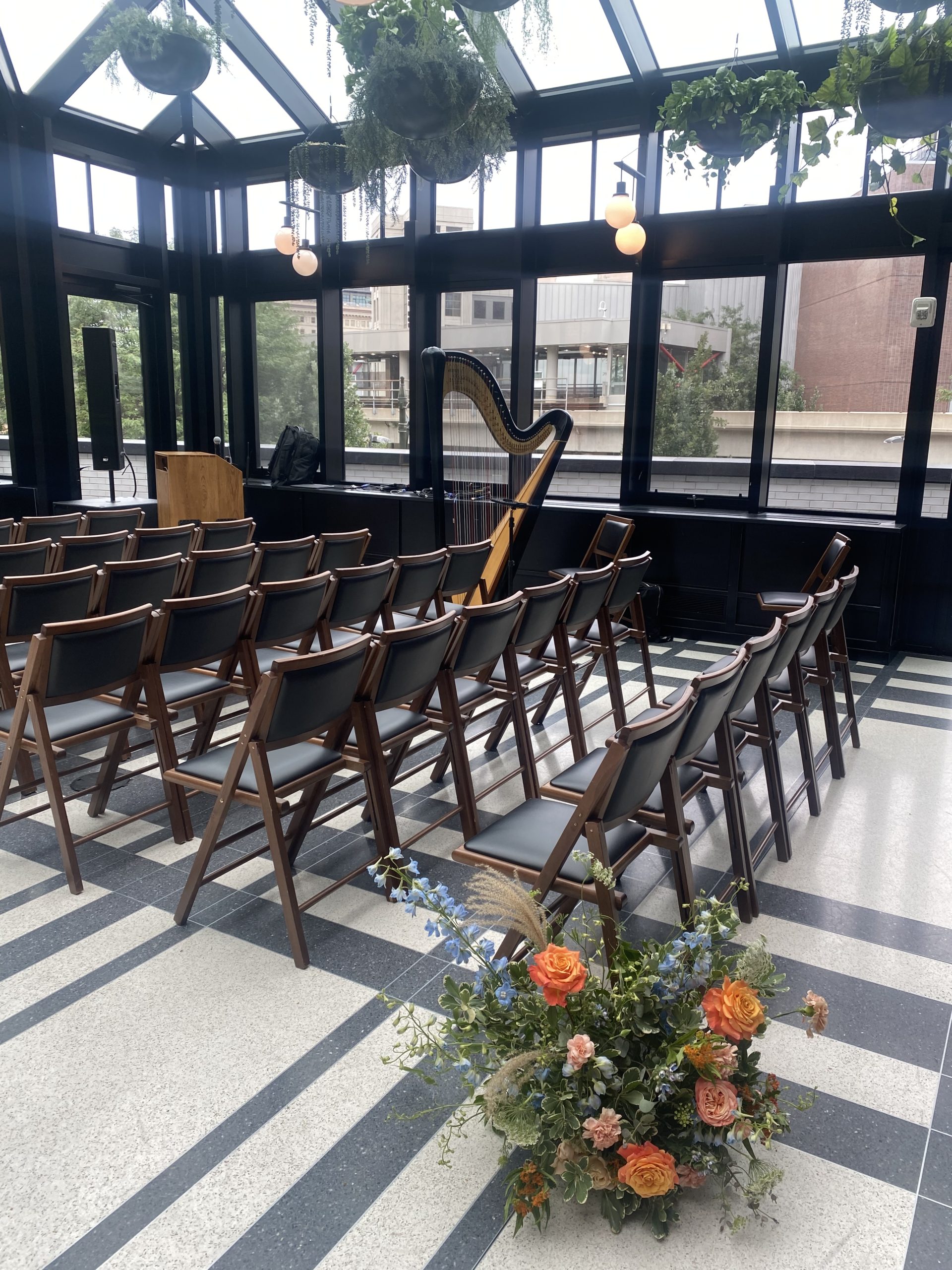 Harpist in Lamar, Missouri - The Classic Harpist