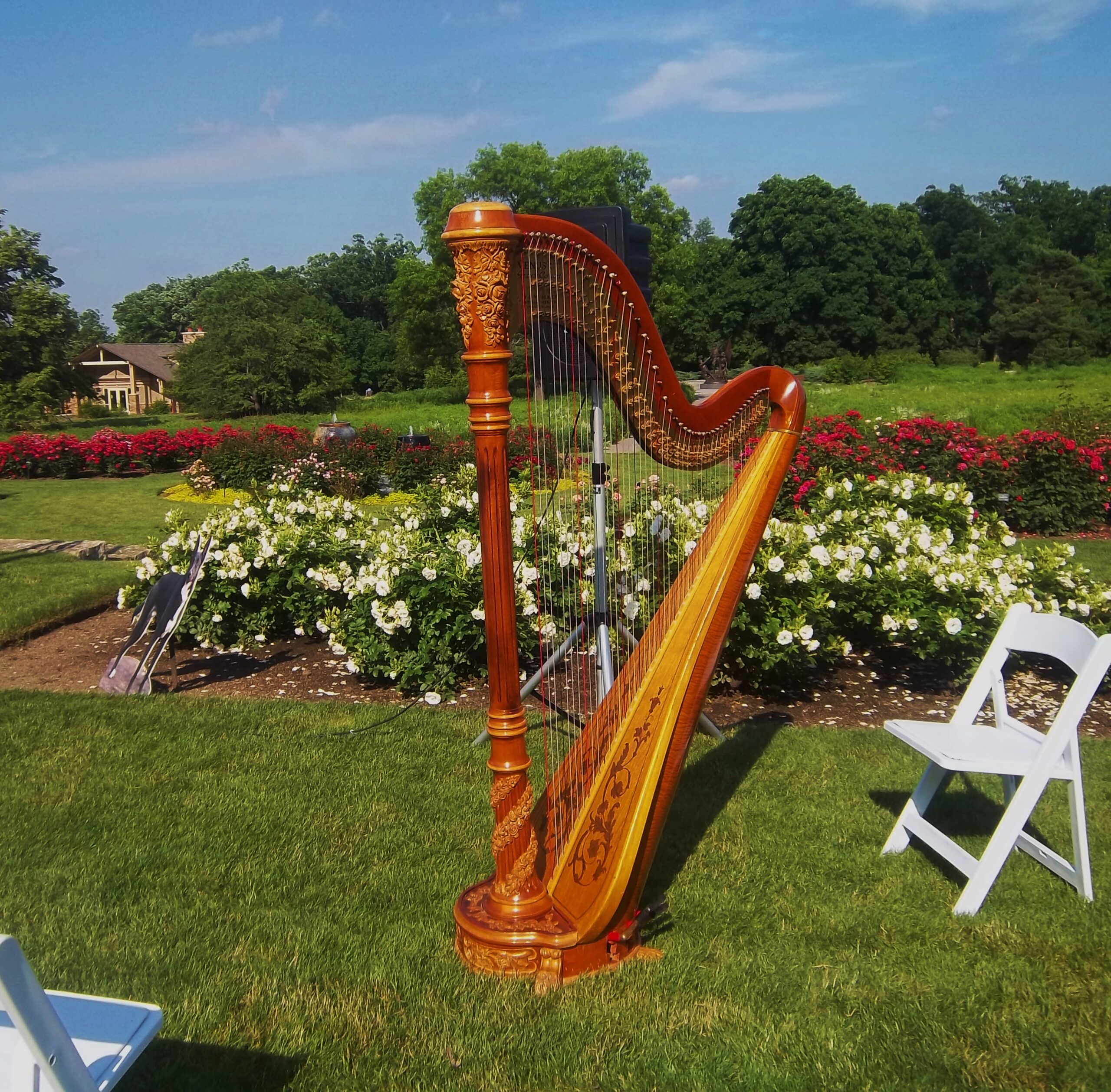 Chicago Harpist - Your Music Choice for Weddings - The Classic Harpist