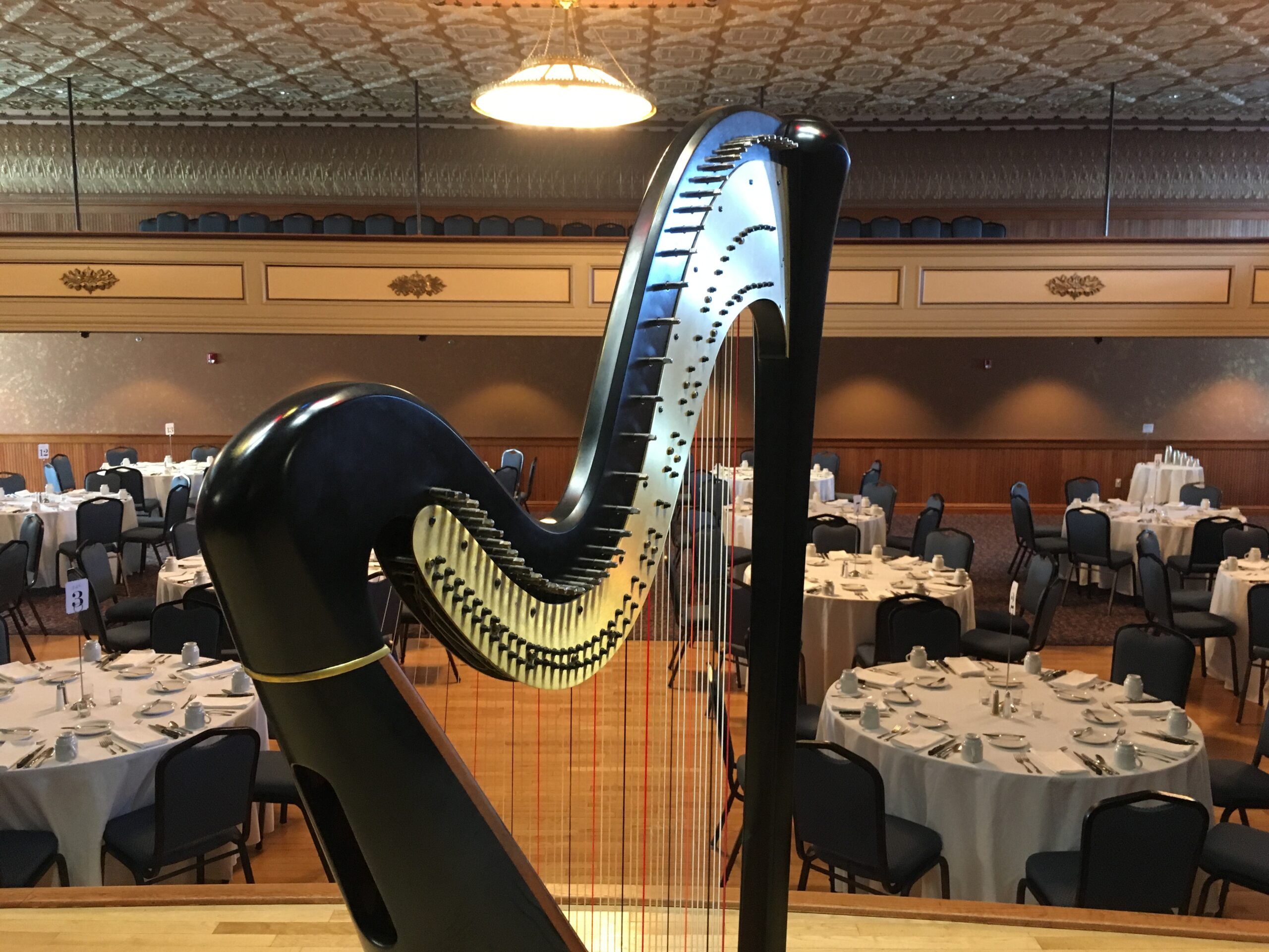 Harpist in Peru, Indiana - The Classic Harpist